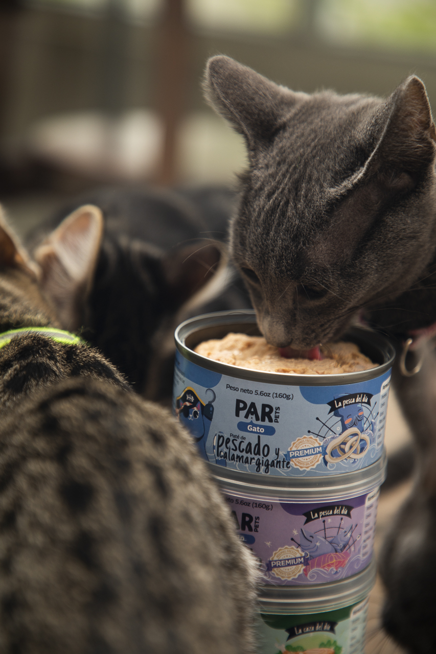 Par Pets — Alimentación real para tu par perfecto