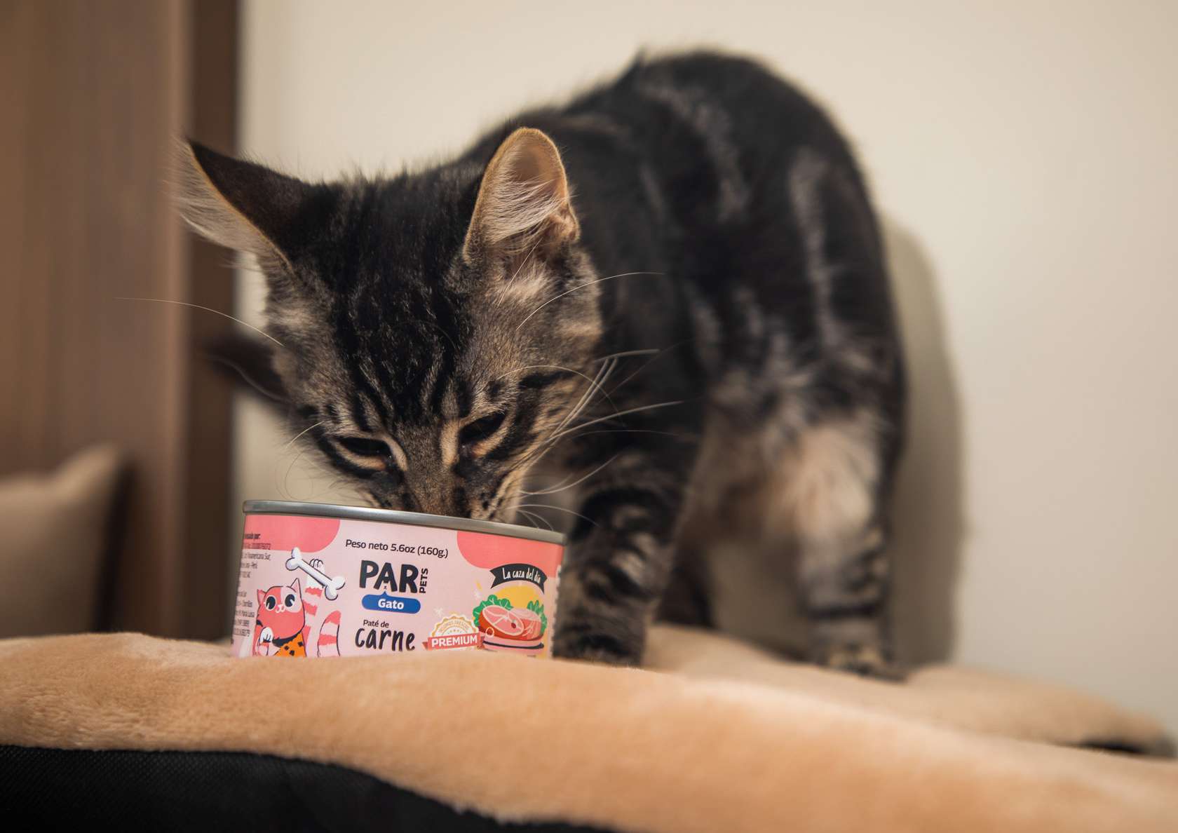 Alimento para gatos real y natural | Par Pets