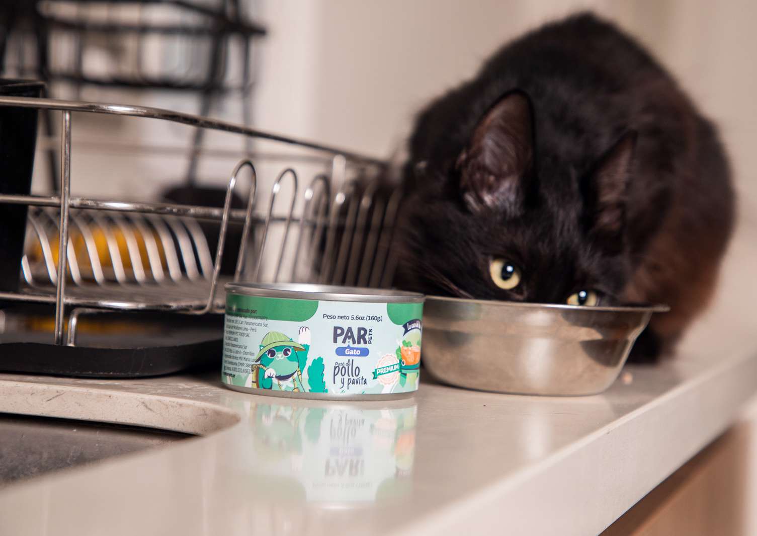 Alimento para gatos real y natural | Par Pets